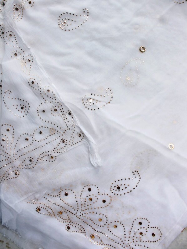 Paisley Mukaish Embroidery Georgette Dupatta – Shilphaat.com